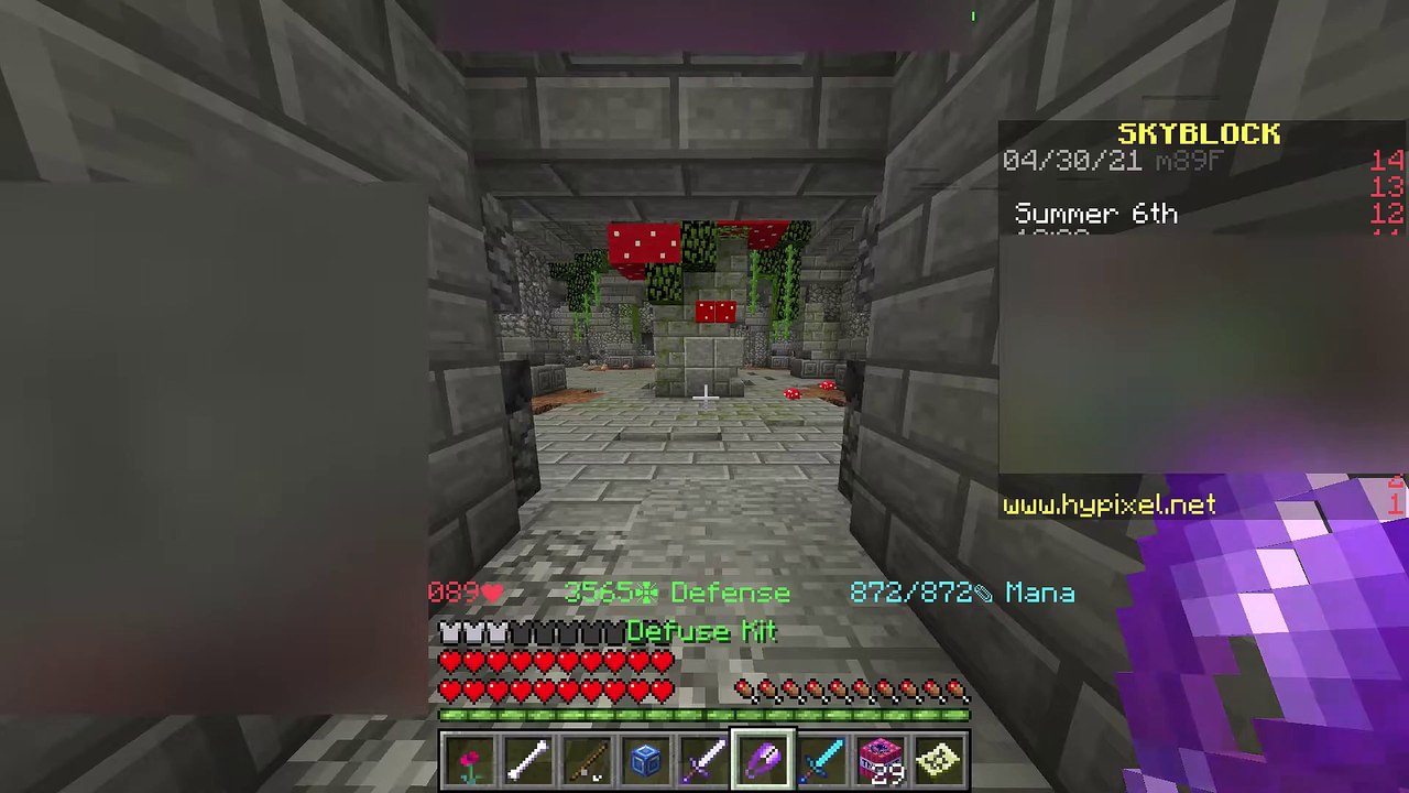 Guide Mushroom Room Hypixel S Skyblock Dungeons Minecraft Video