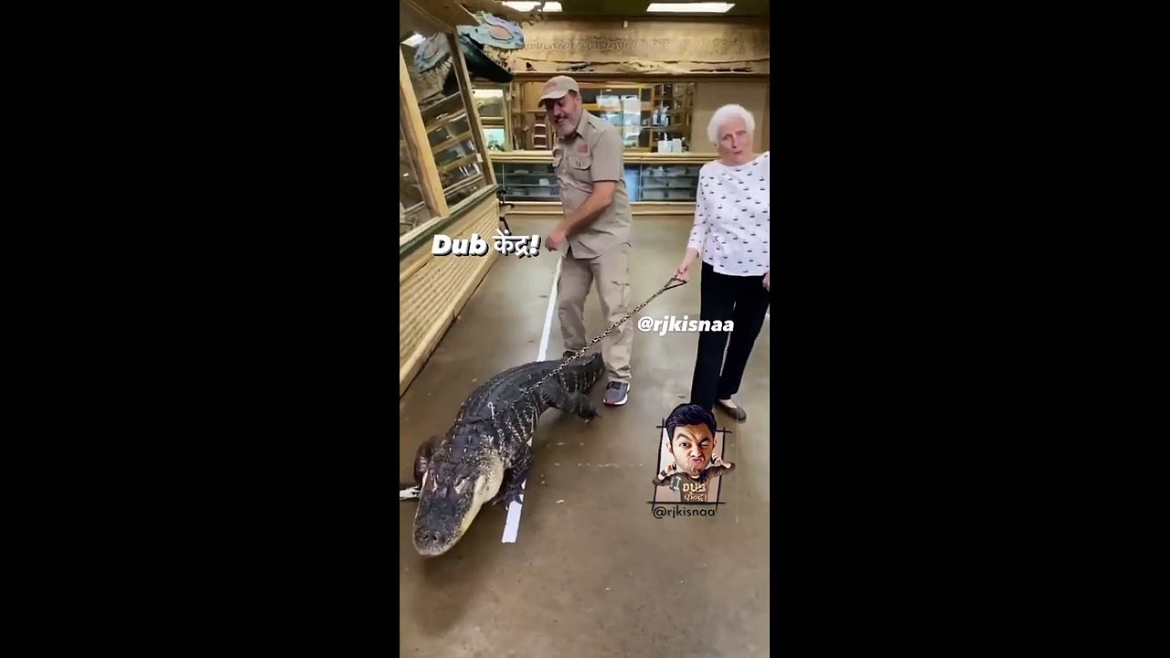 lolodile funny dub video lolodile sewa crocodile funny video crocodile ...