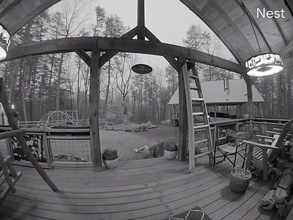 Mother and Daughter Slide Down Slippery Step - video Dailymotion