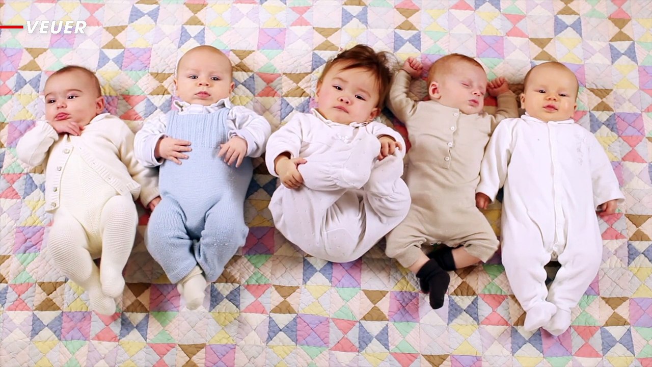 Judgemental Babies Teach Us Humans Are Predisposed to Moral Behavior ...