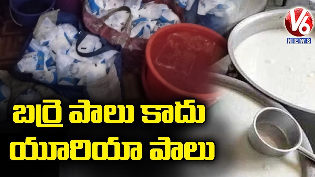 Adulterated Milk Mafia Busted In Patancheru _ V6 News - video Dailymotion