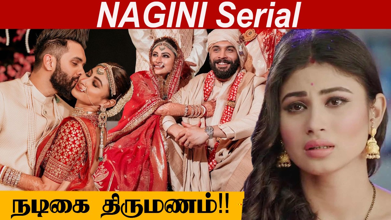 Nagini Serial நடிகை Mouni Roy திருமண வைபவம் | Sun Tv serial, Nagini ...