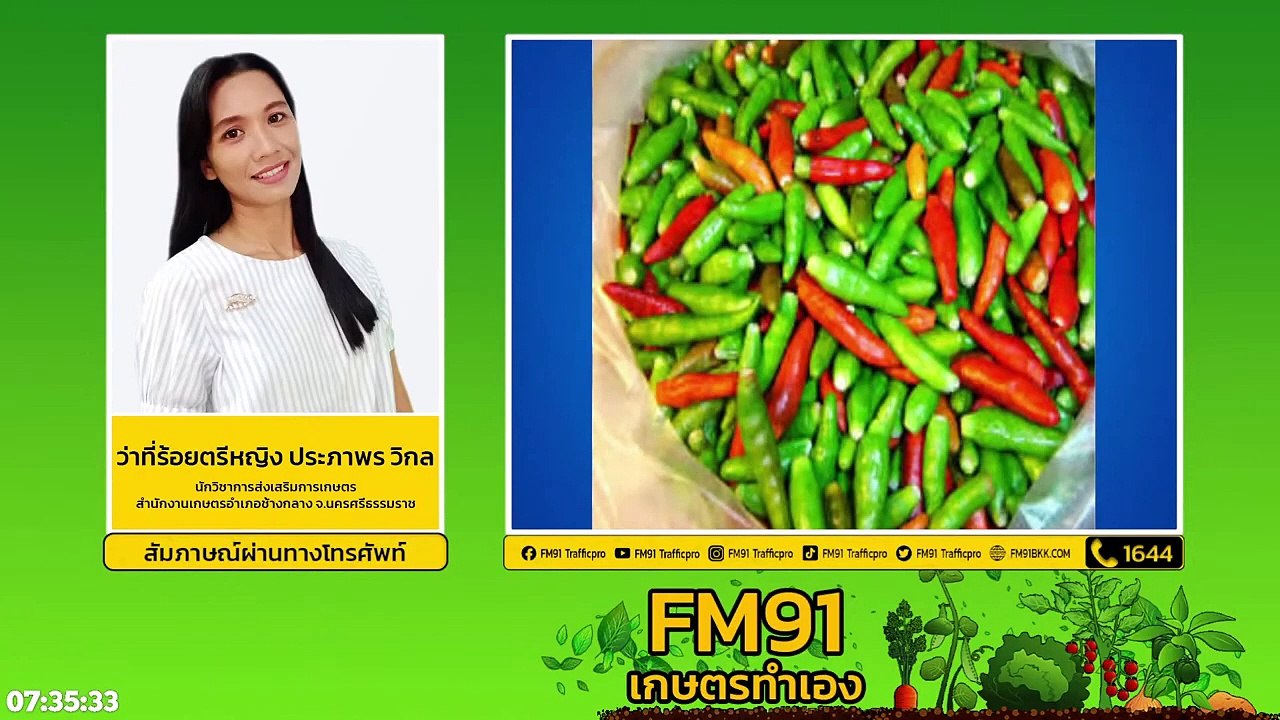 พืชสมุนไพรไล่แมลง ทดแทนการใช้สารเคมี EP.2 : FM91 เกษตรทำเอง : 30 มกราคม 2565 - video Dailymotion