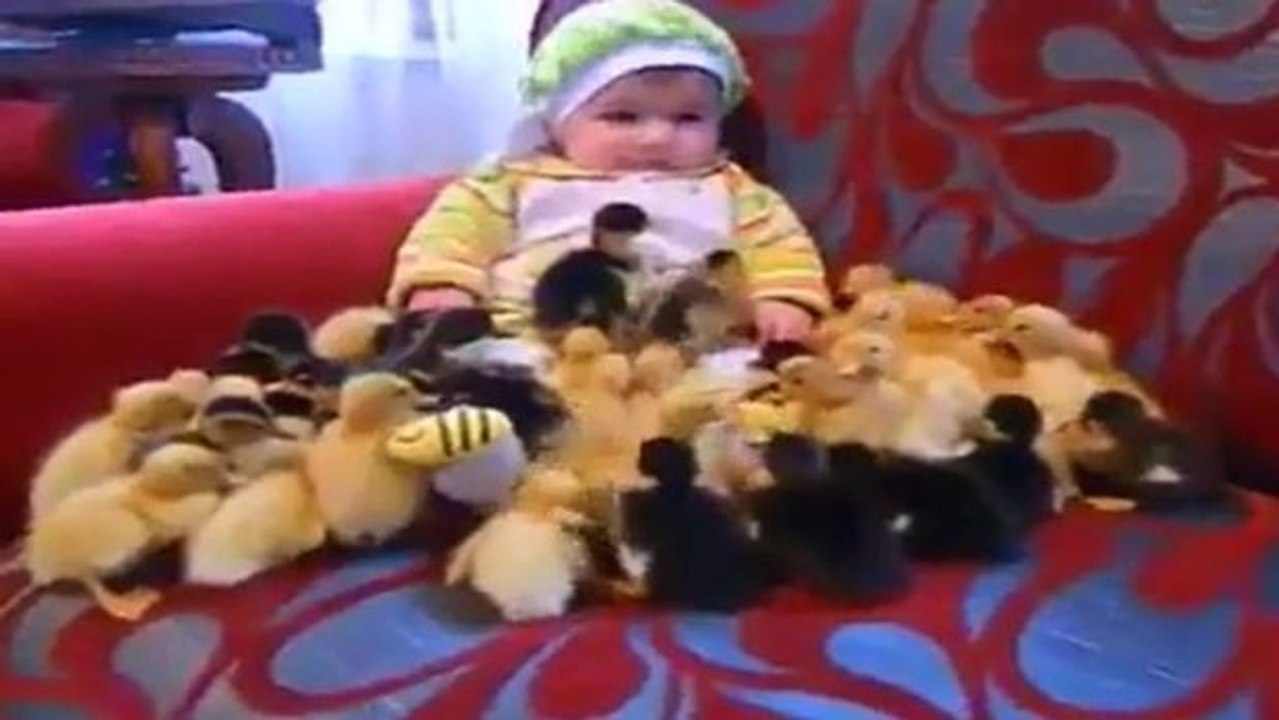 Ein Baby und eine Schar kleiner Entchen - video Dailymotion