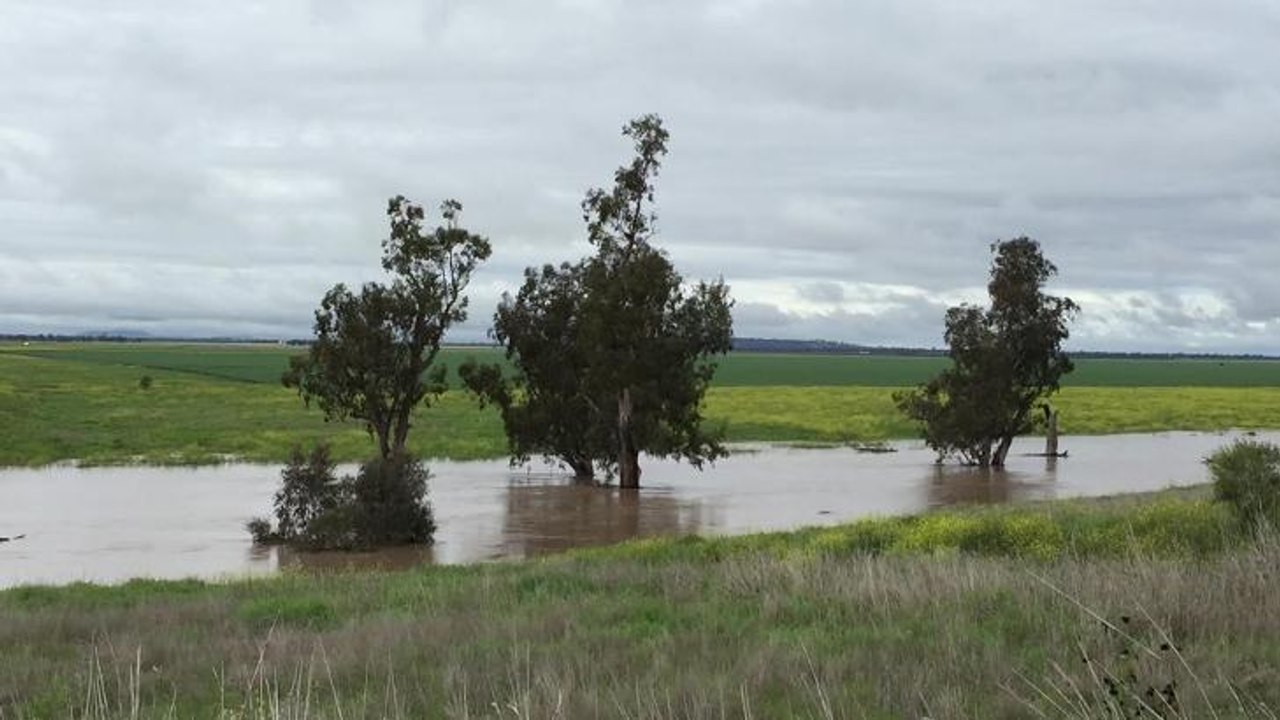 Mooki River floods in Breeza in 2016. - video Dailymotion