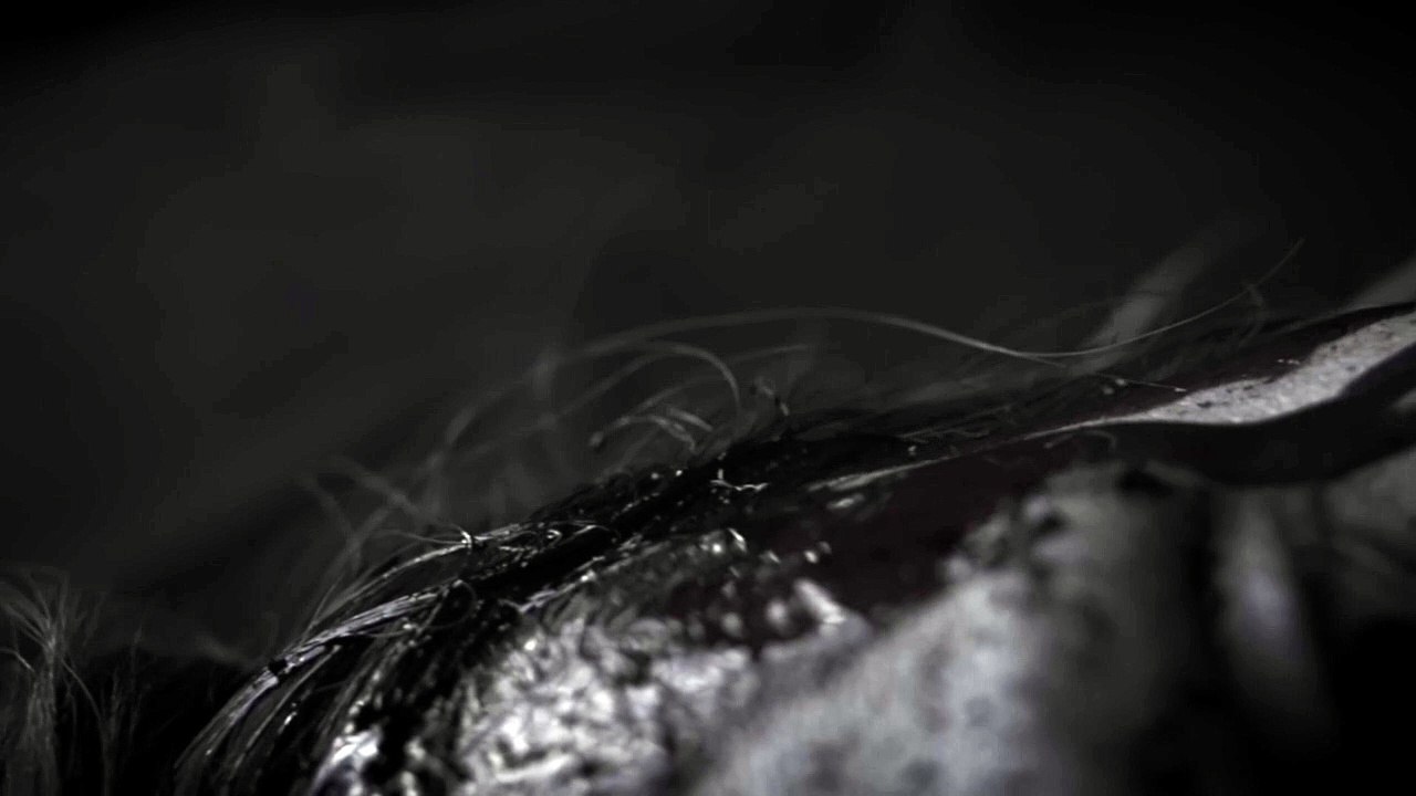 The Post-Mortem Live Show: Promotional video of event coming to ...