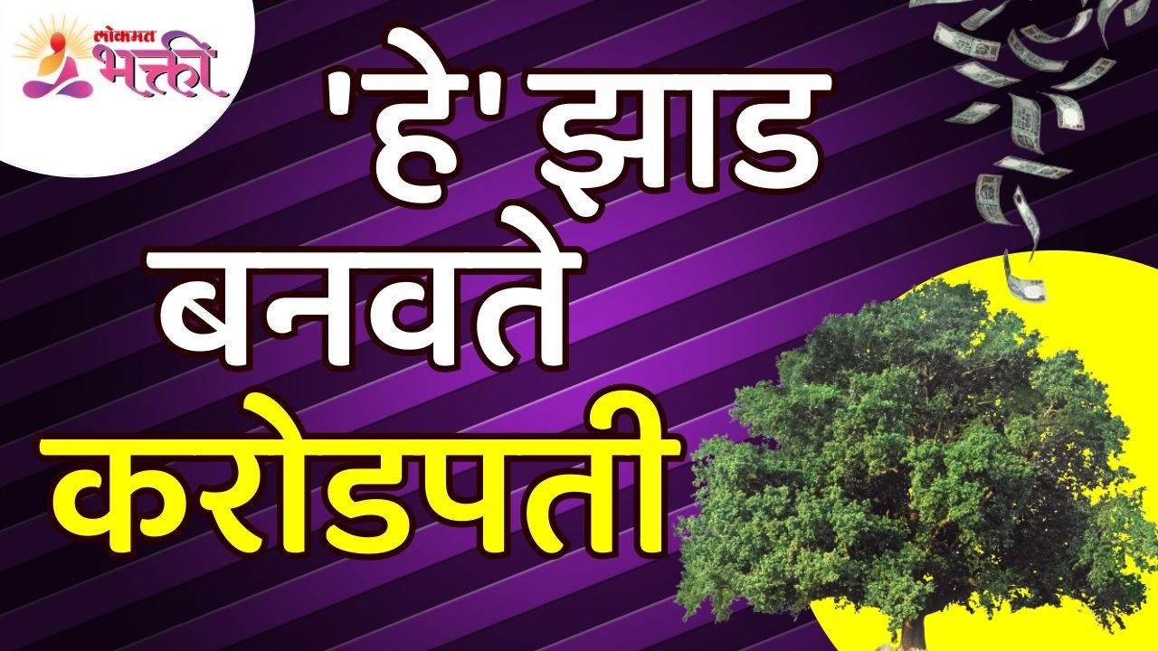 कोणते झाड करोडपती बनवते? Which tree makes a millionaire? Benefits of ...