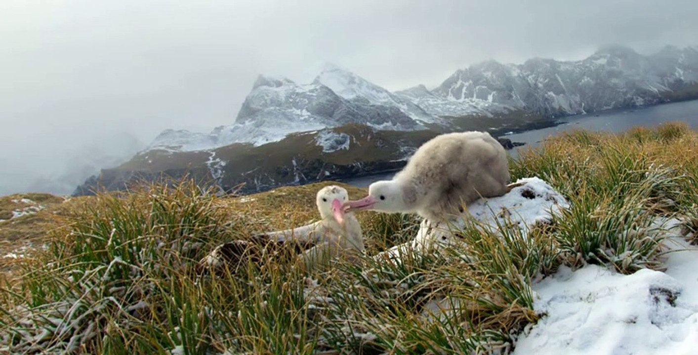 Our Planet S01 E02 - video Dailymotion