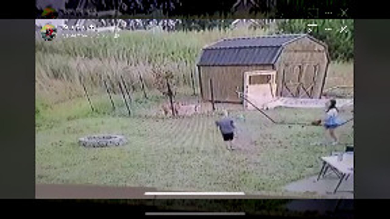 Kid Gets Hit in Face with Dodgeball and Falls in Firepit - video ...