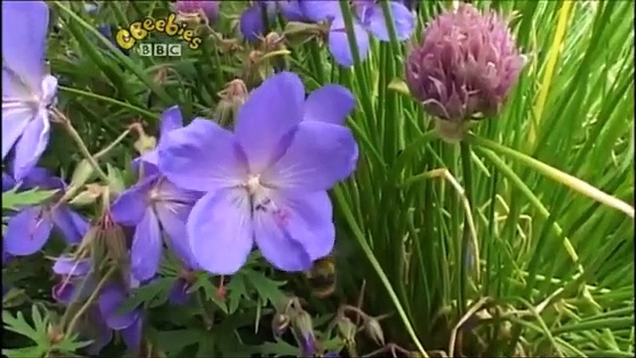 The Story Makers: Series 2: Buildings - video Dailymotion