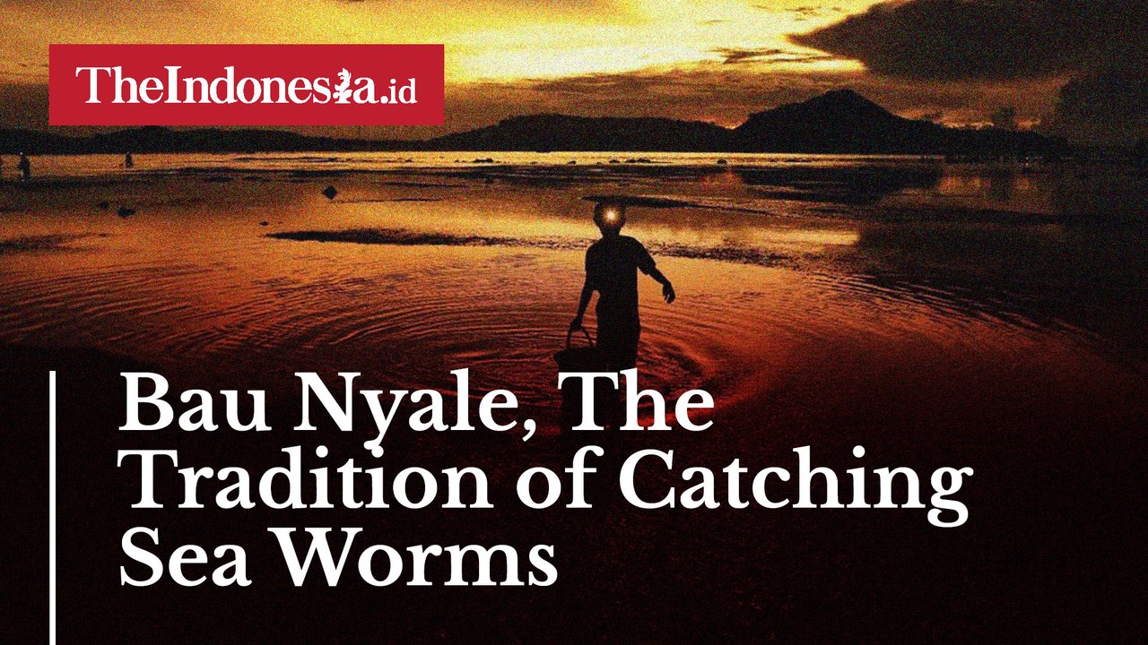 Bau Nyale, The Tradition of Catching Sea Worms - Video Dailymotion