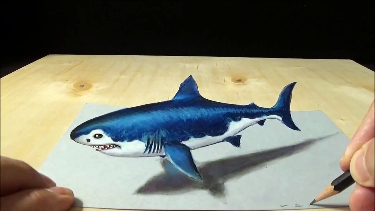Drawing 3D Shark - How to Draw 3D Megalodon Shark - Awesome Trick Art ...