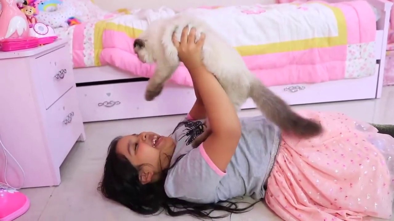 شفا تحولت إلى قطة ! Shfa turns to Cat story - video Dailymotion