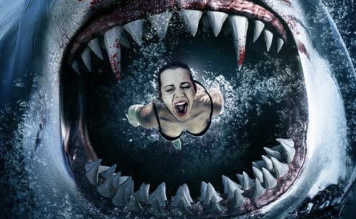 Sharkula Trailer (2022) - video Dailymotion