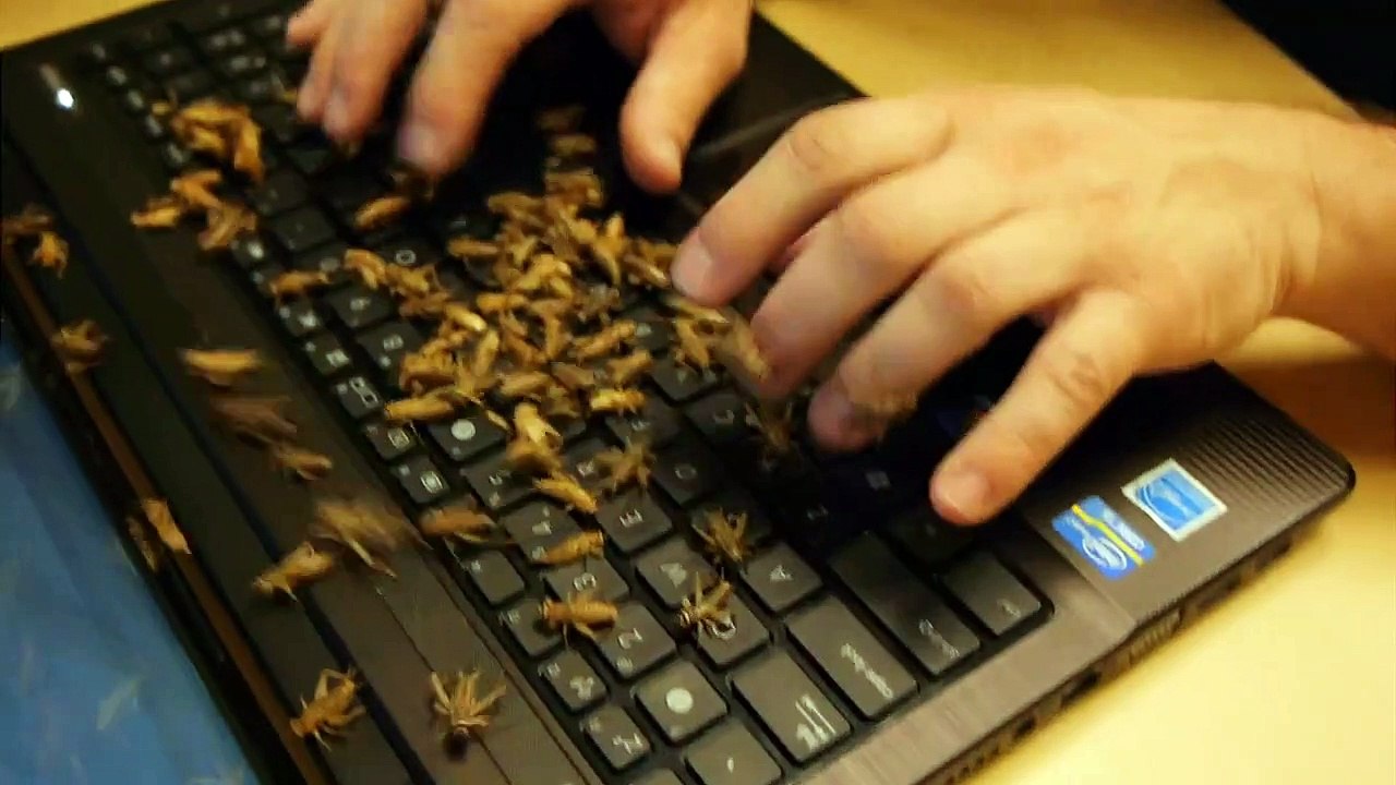 Creeping Crawling Trailer OV - video Dailymotion