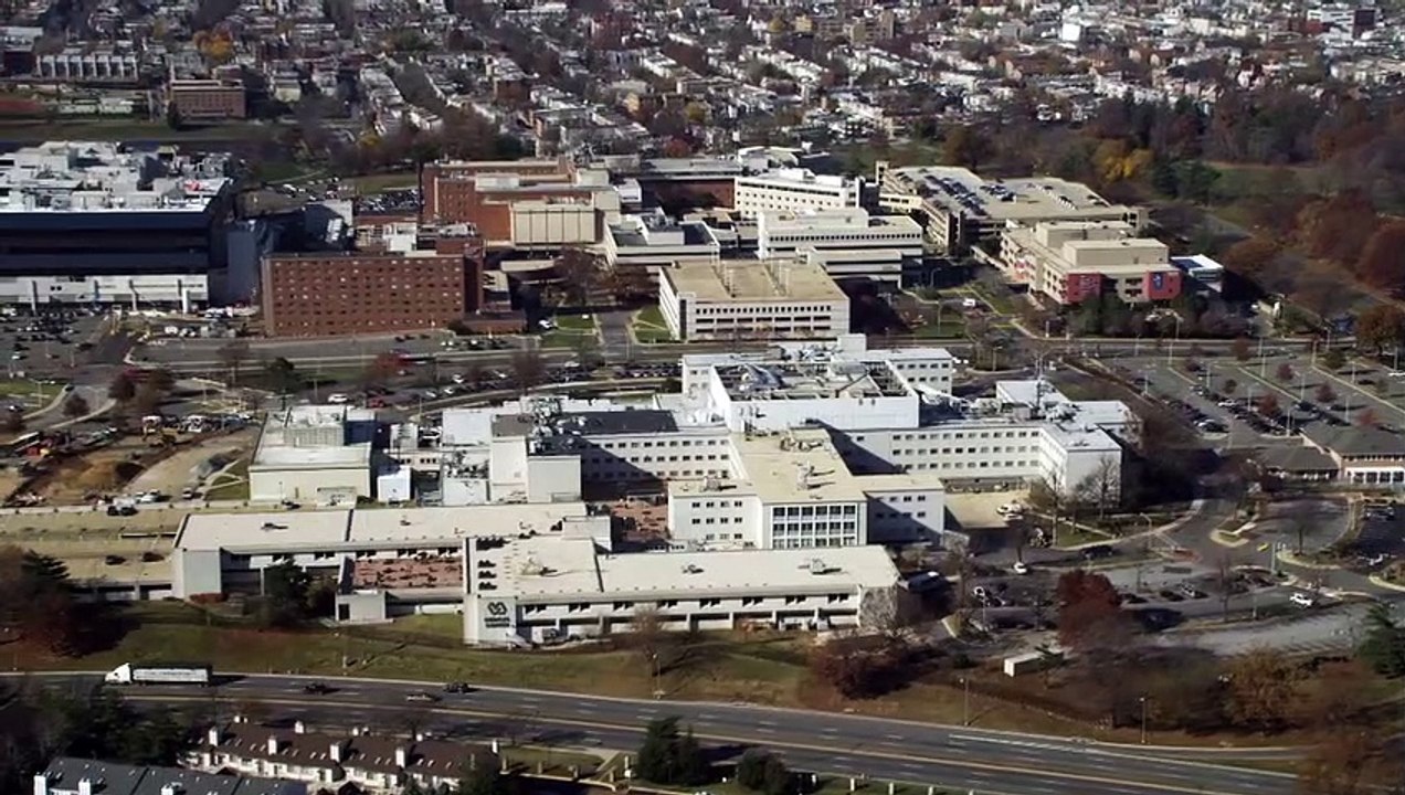 Cat Run 2 Trailer OV - video Dailymotion