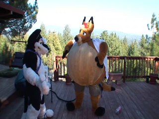 Oz Kangaroo videos - Dailymotion