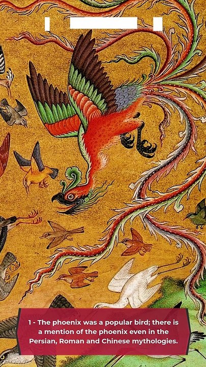 6 Interesting Facts about Phoenix Bird in one Minute. - video Dailymotion