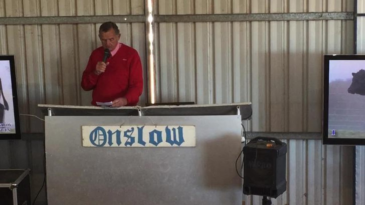 Opening pen sold at Onslow Angus - video Dailymotion