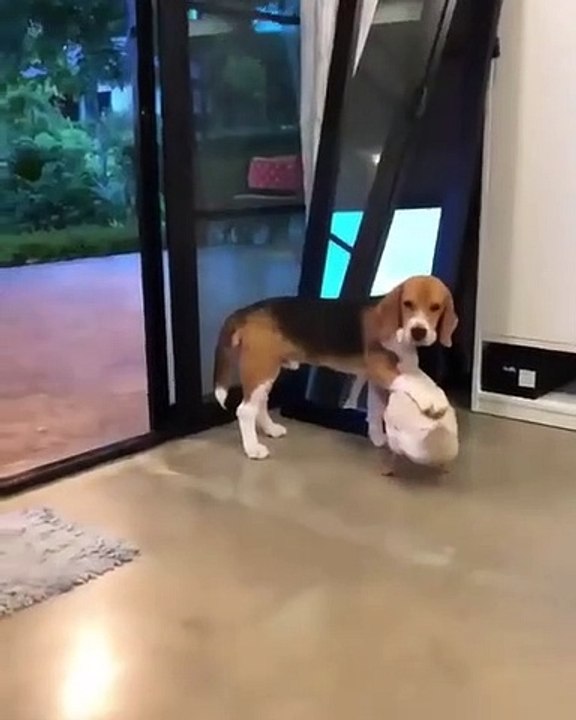 L_avantage_du_week-end%2C_c_est_qu_on_a_plus_de_temps_pour_les_c%C3 ...