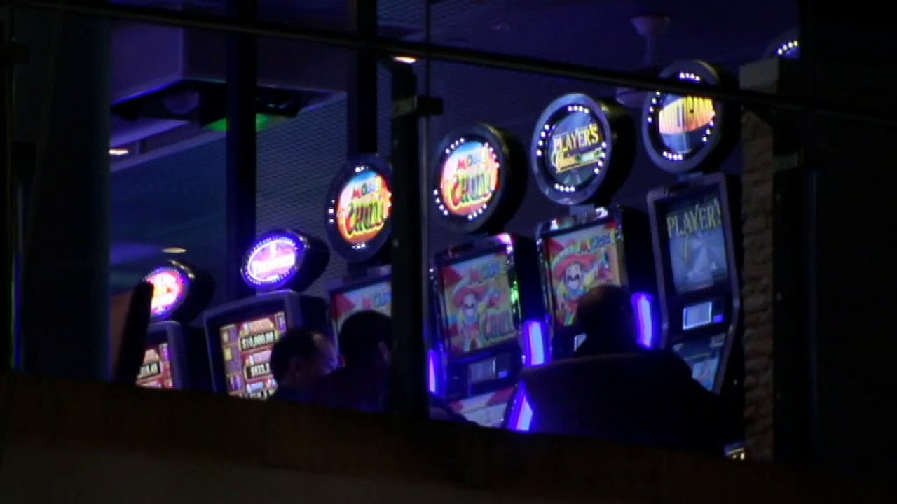 Star CEO resigns amid ongoing inquiry - video Dailymotion