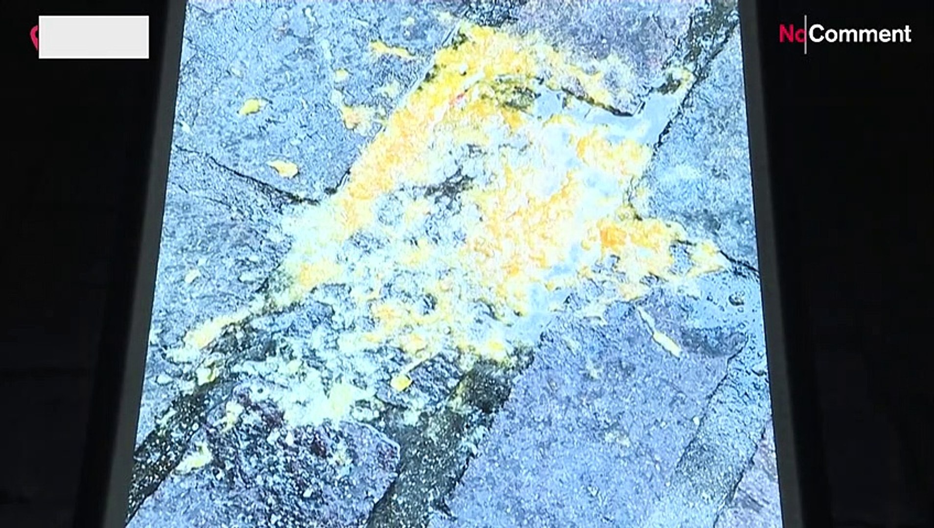 Not for sensitive stomachs: 'vomit vault' churns up in London