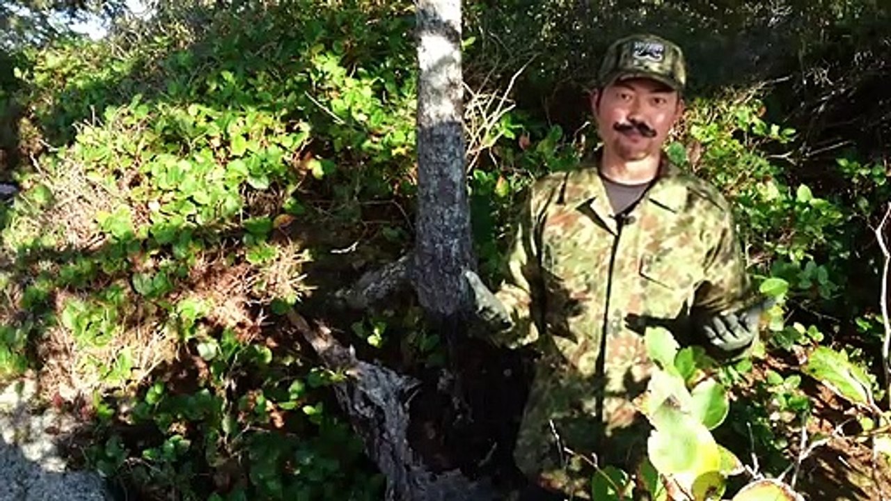 Japanese army camouflage - Video Dailymotion