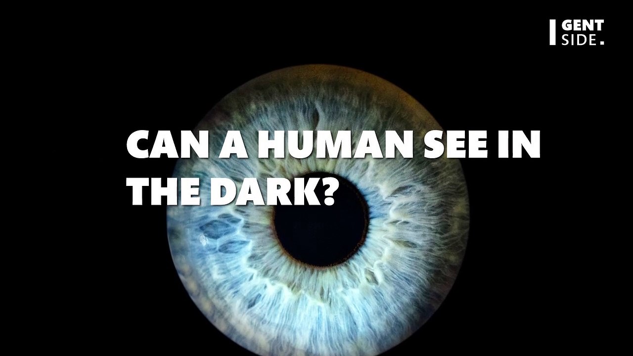 Night blindness: Do humans have the ability to see in the dark? - video ...