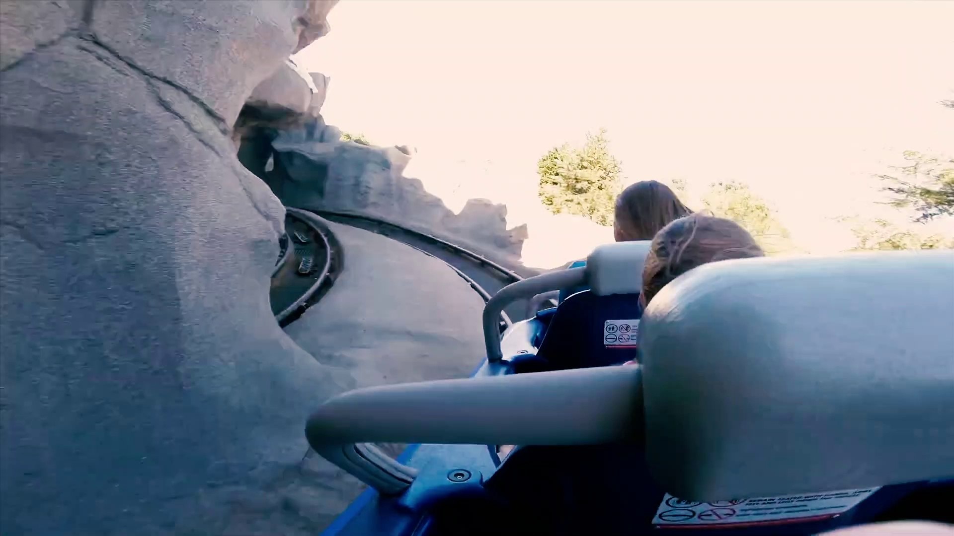 Matterhorn Bobsleds Roller Coaster