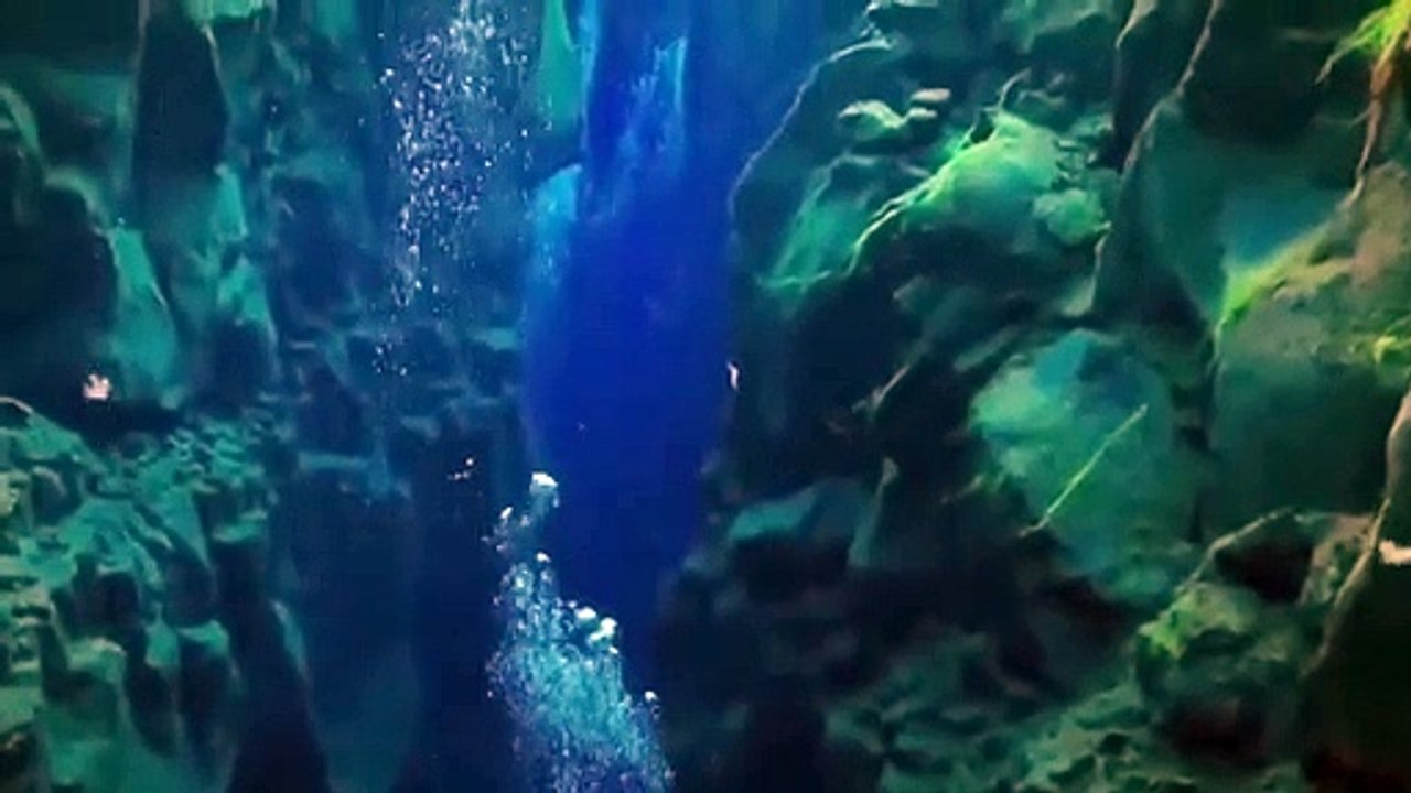 Sharks of Bermuda Triangle / National Geographic Video Clips - Vídeo ...