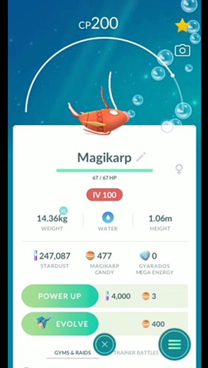 Evolve Magikarp Into Gyarados : Game Pokemon Go - video Dailymotion