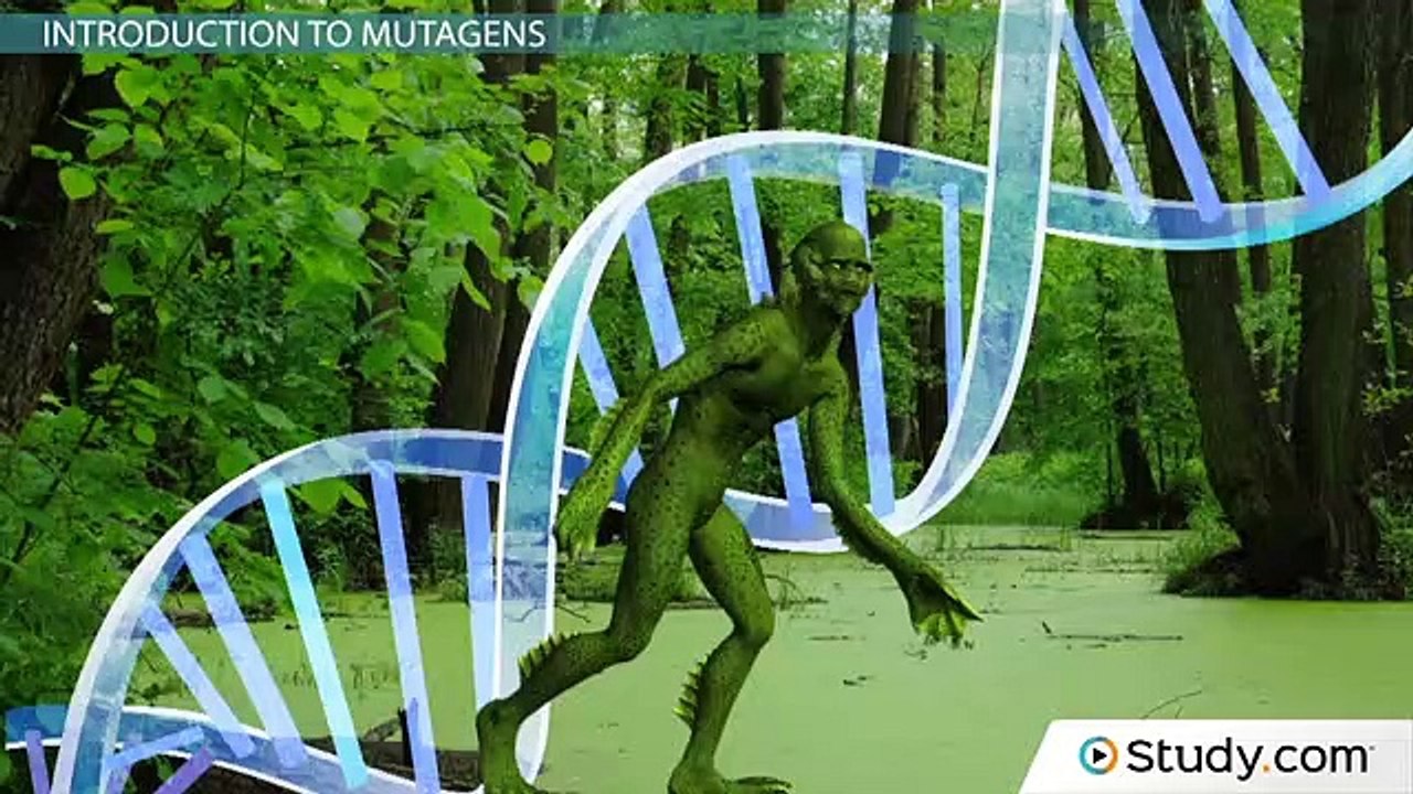 Mutagens- How the Environment Affects Mutation Rates - video Dailymotion