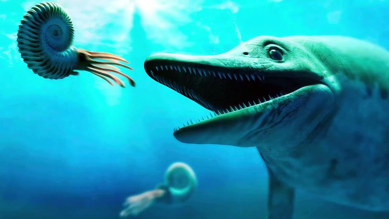 Archéologie : découverte d'une immense dent de super-prédateur marin ...