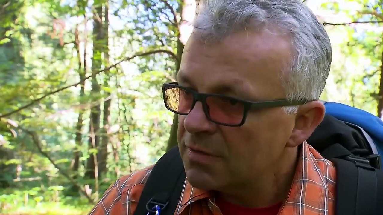 Nazi Gold The Mystery Of The Lost Nazi Treasures Secrets Of The Third ...