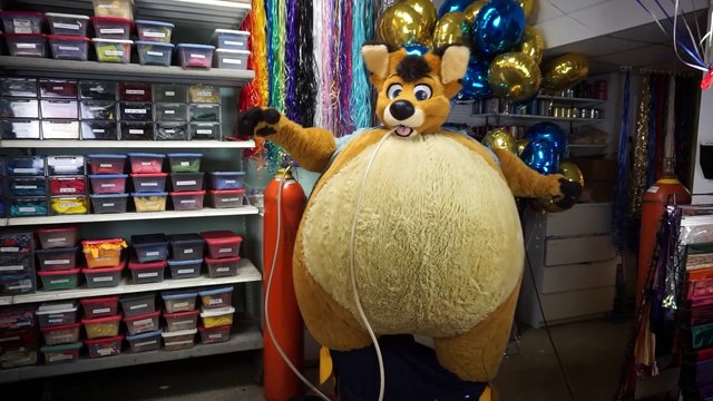 Oz Kangaroo videos - Dailymotion