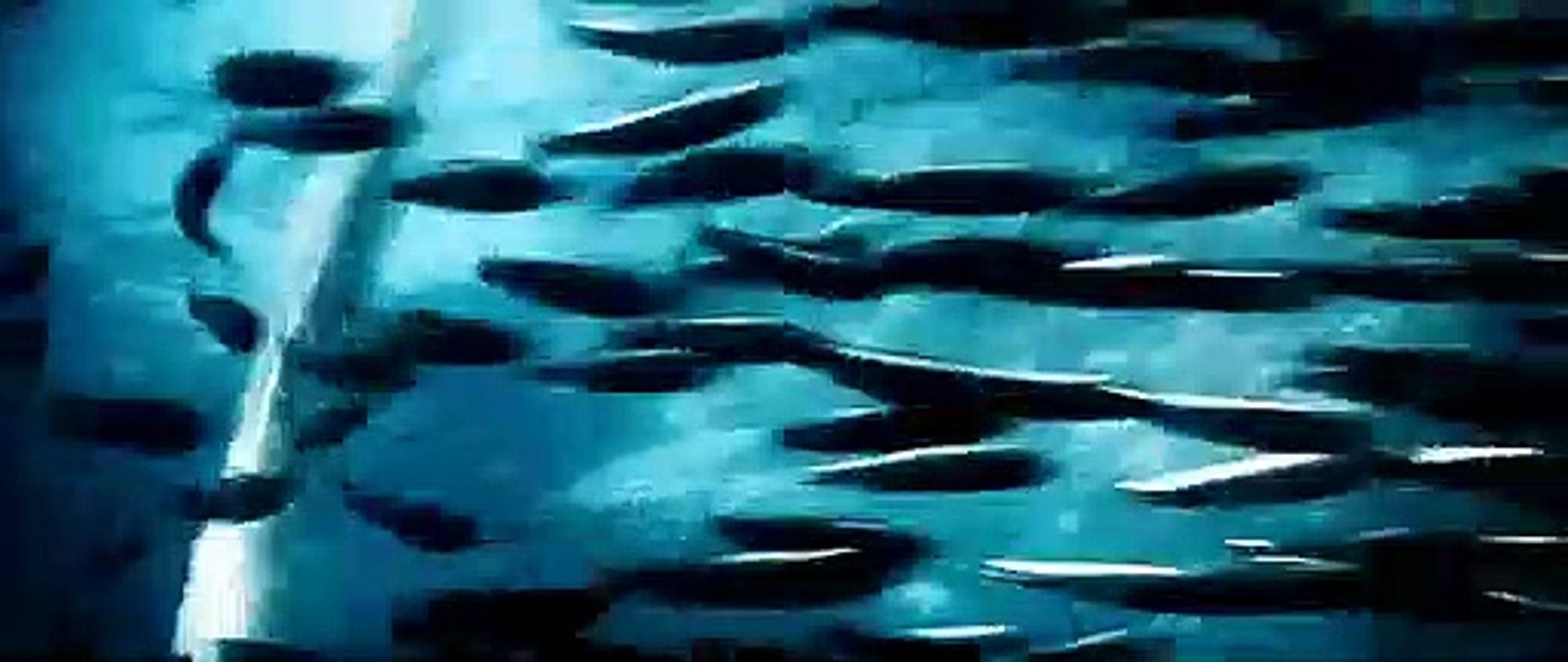 sample_ - Vidéo Dailymotion