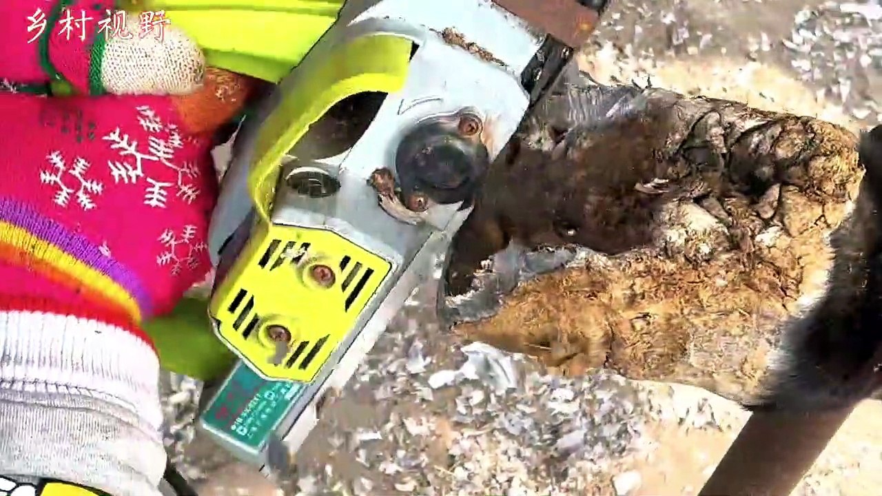 how to fix a broken donkey hoof - video Dailymotion