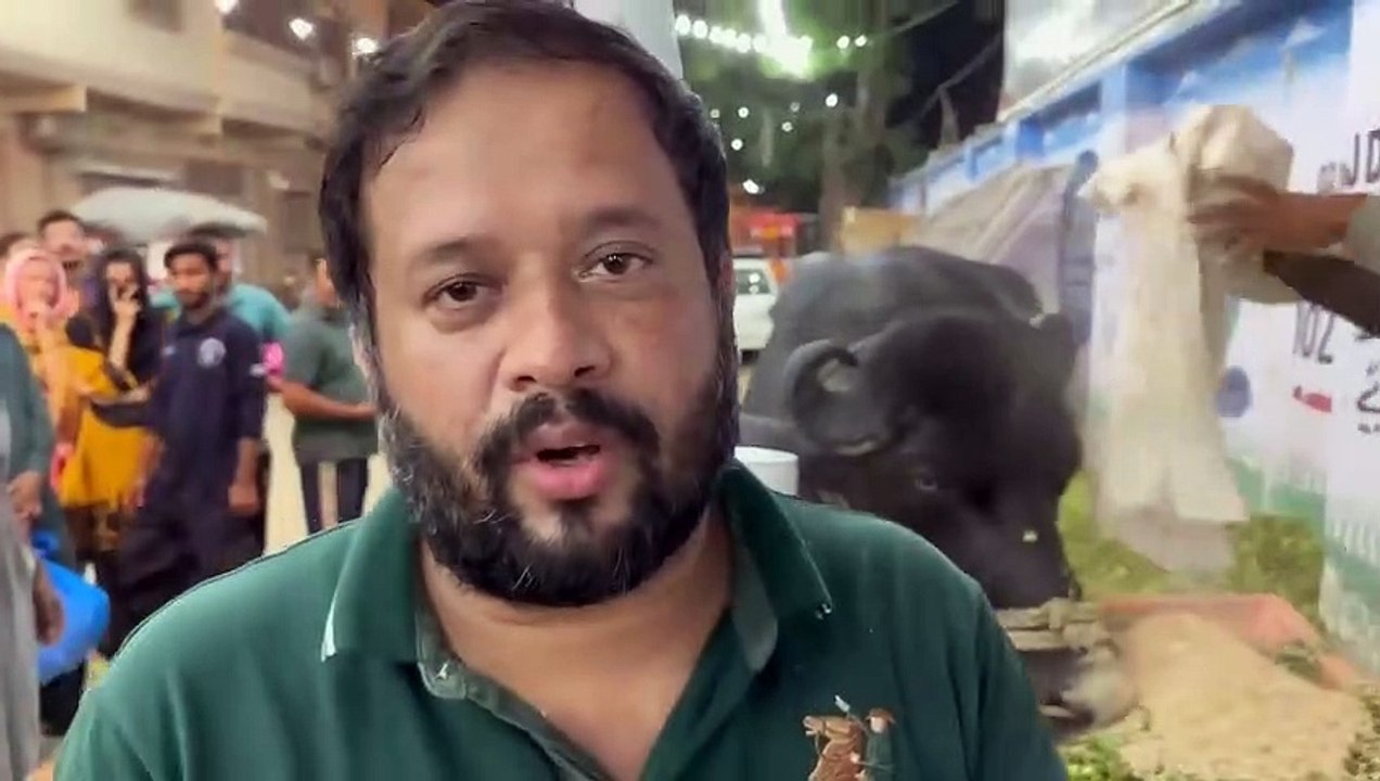 A Beautiful Buffalo Donated by Mr. Imran Sheikh Owner of Kababjees Group - video Dailymotion