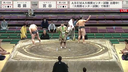 Natsu 2023 - Day 14 by MISELET Sumo - Dailymotion