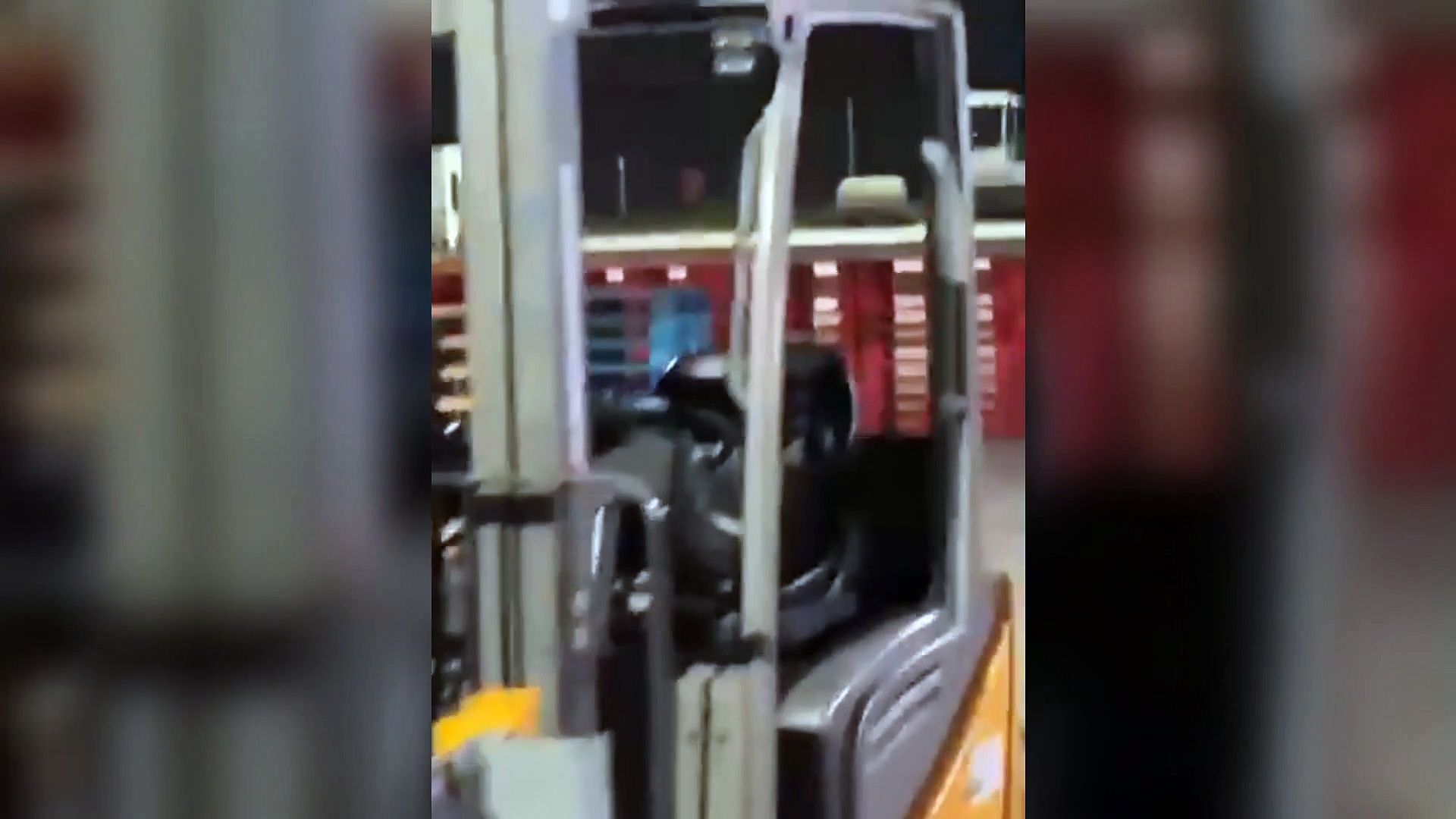 Rats at Aldi distribution centre