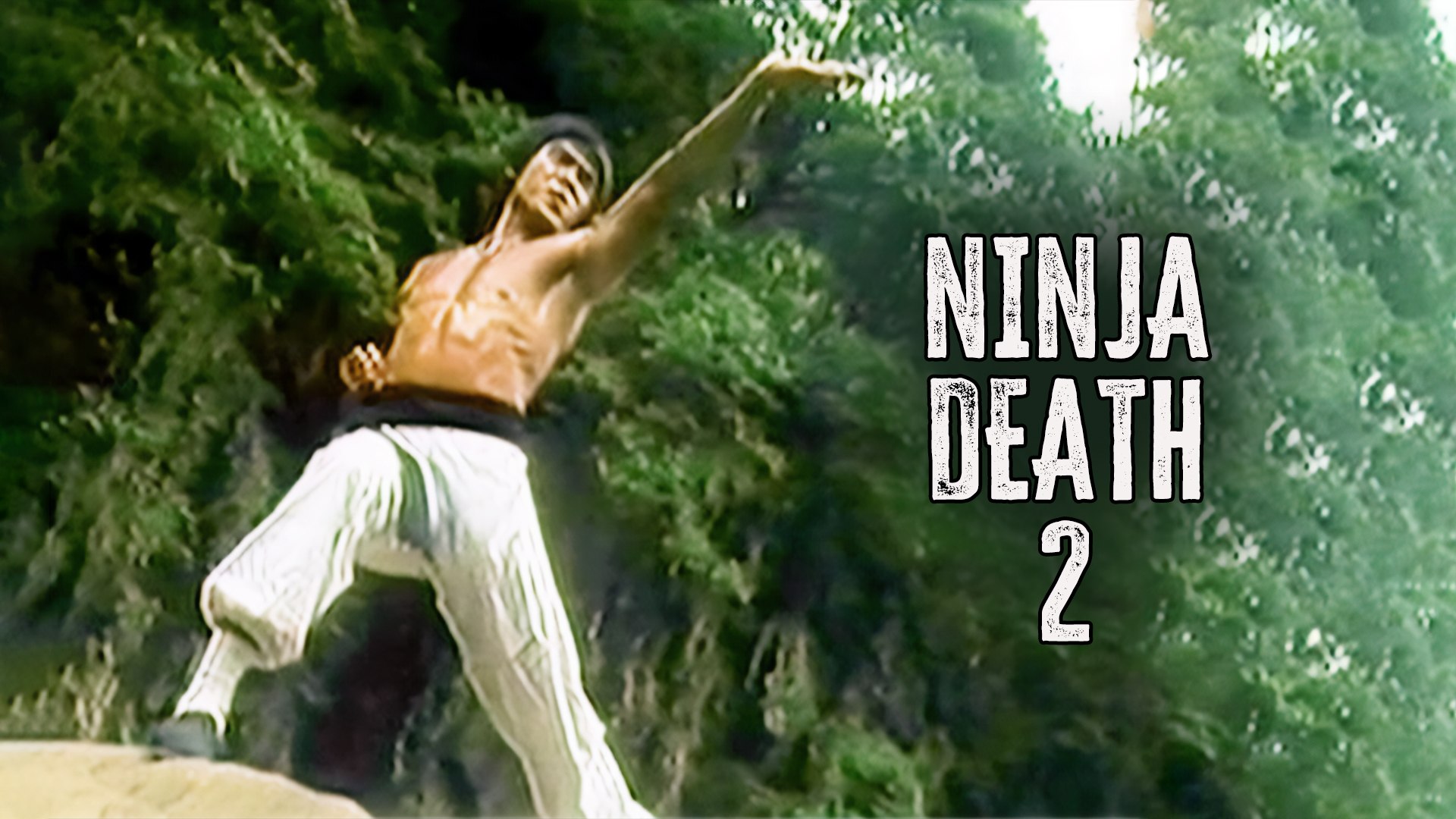 Ninjutsu Death Punch