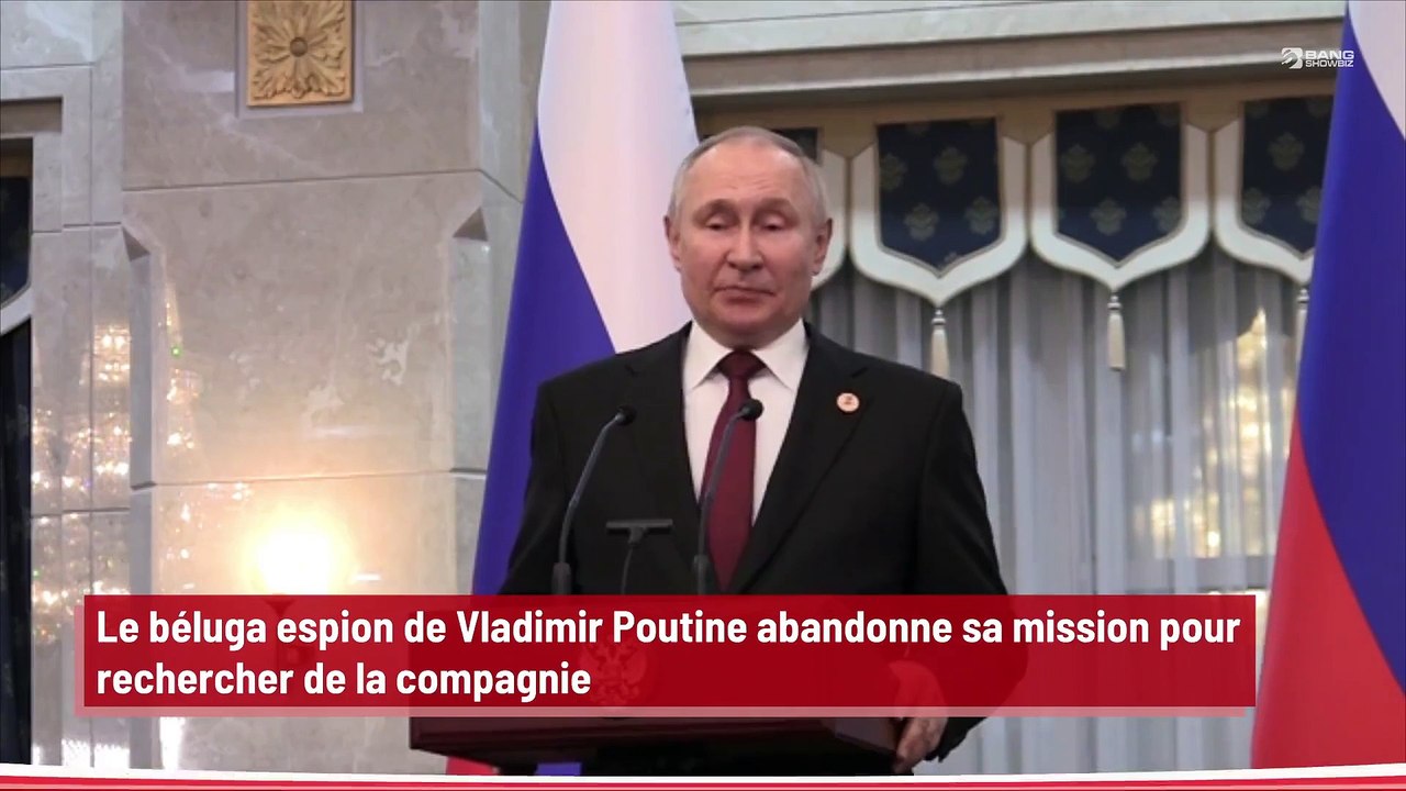 Le béluga espion de Vladimir Poutine abandonne sa mission pour ...