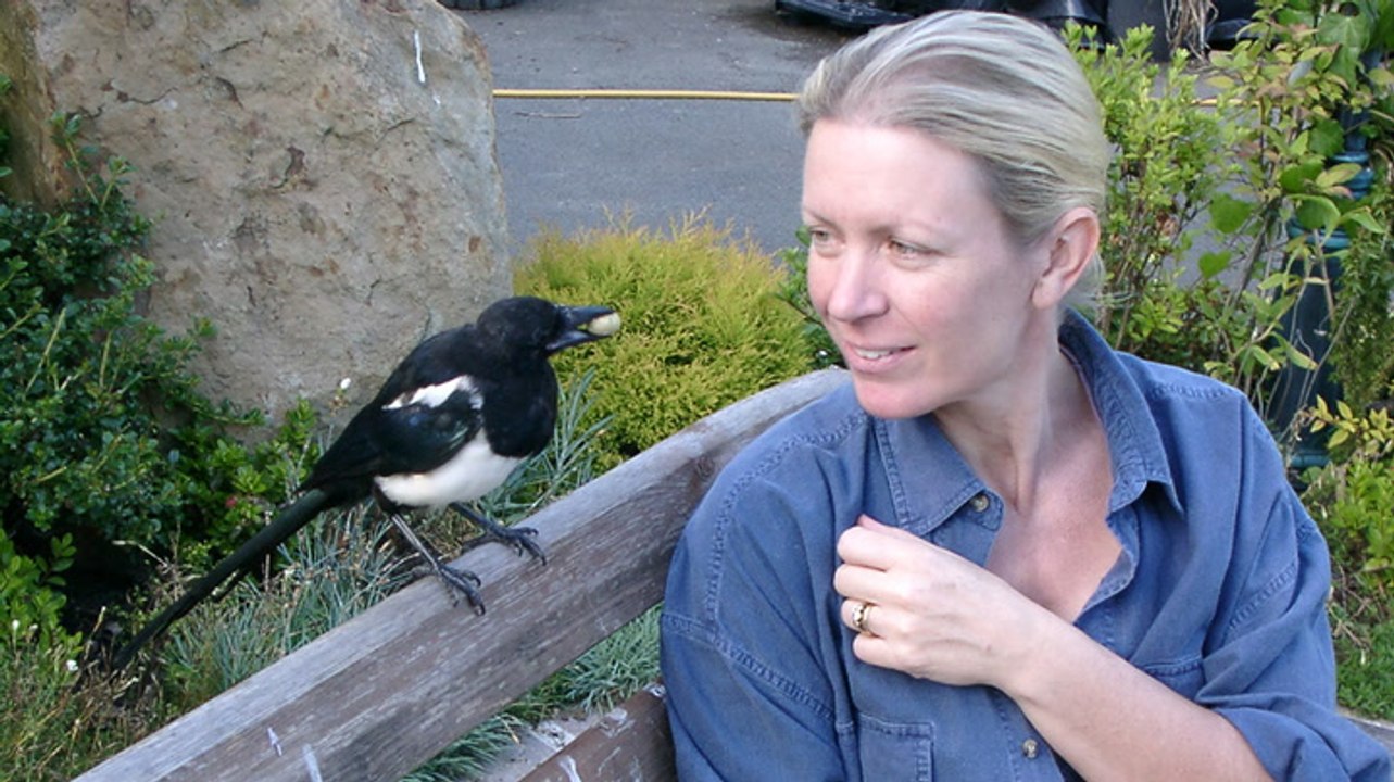 Poet Frieda Hughes explains why George the magpie was so special to her ...