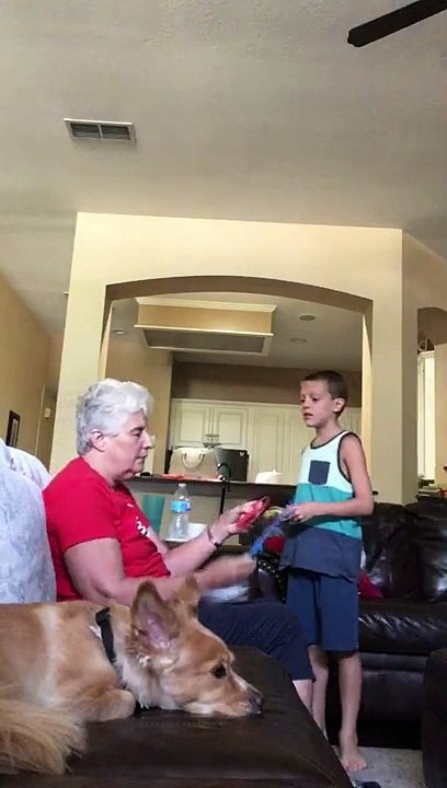 Cyclone Flyer Flying Disc Toy Fun Play - video Dailymotion