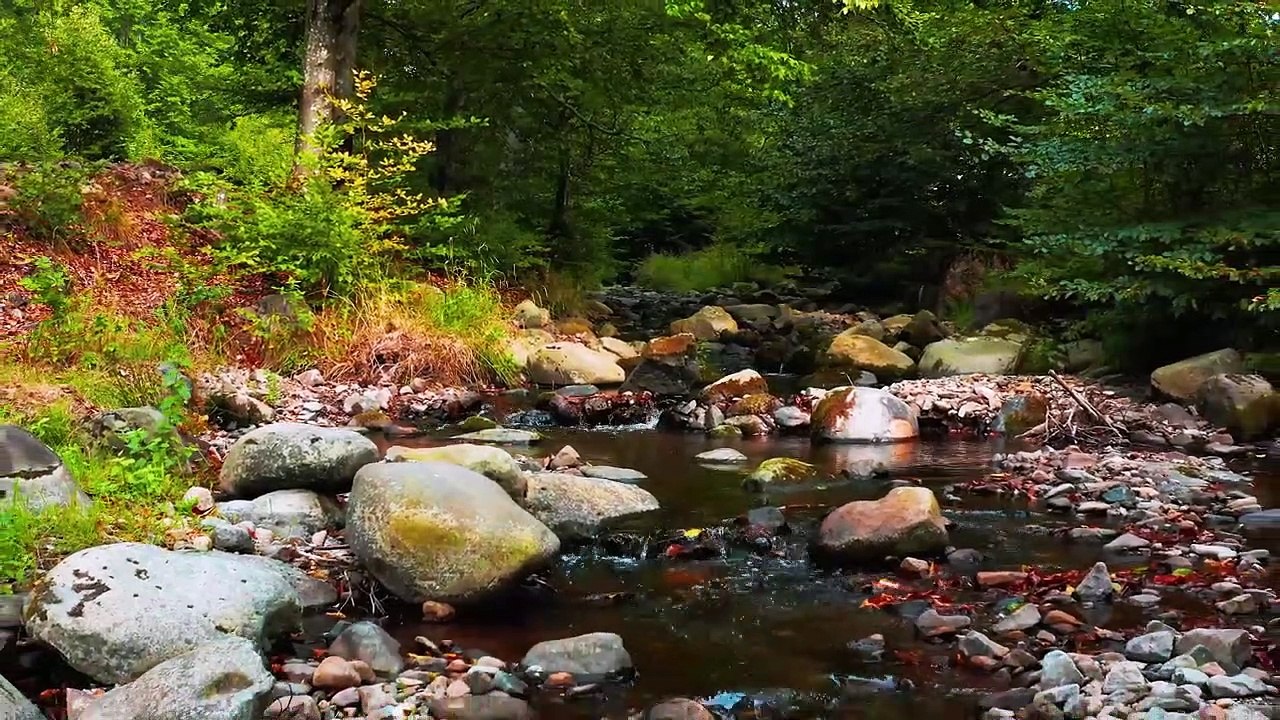 NATURE +4K+ Free Stock Footage of Beautiful Sceneries (No Copyright ...