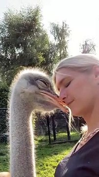 The Daily Capper videos - Dailymotion