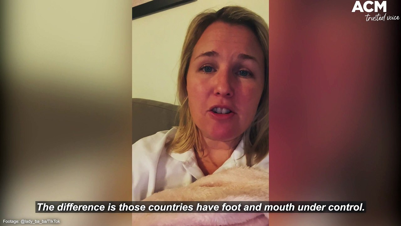 Big Brother contestant calls for Australia's border with Indonesia to ...