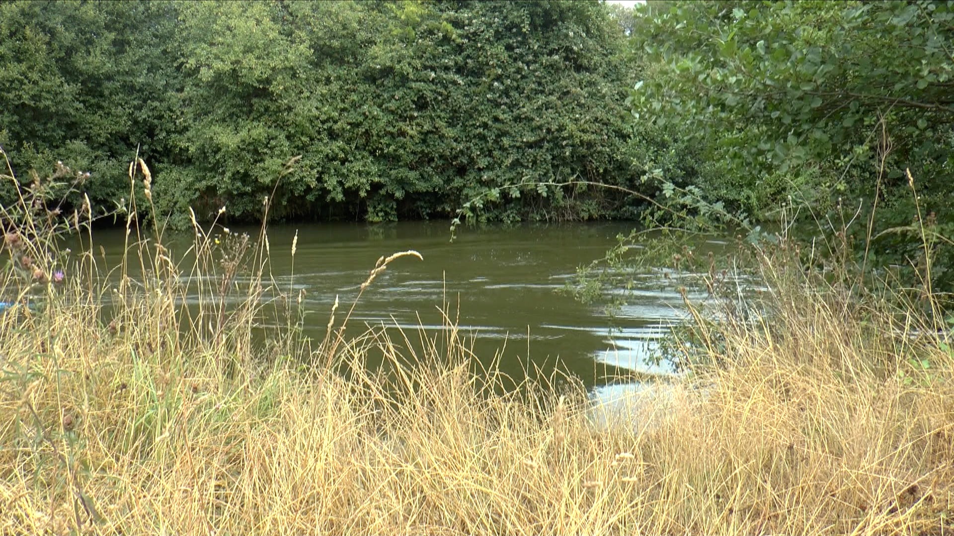 Drought fears across Kent as officials urge residents to use water wisely