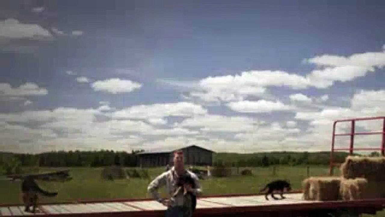 Letterkenny Season 1 Episode 2 Daryl's Super Soft Birthday - video ...