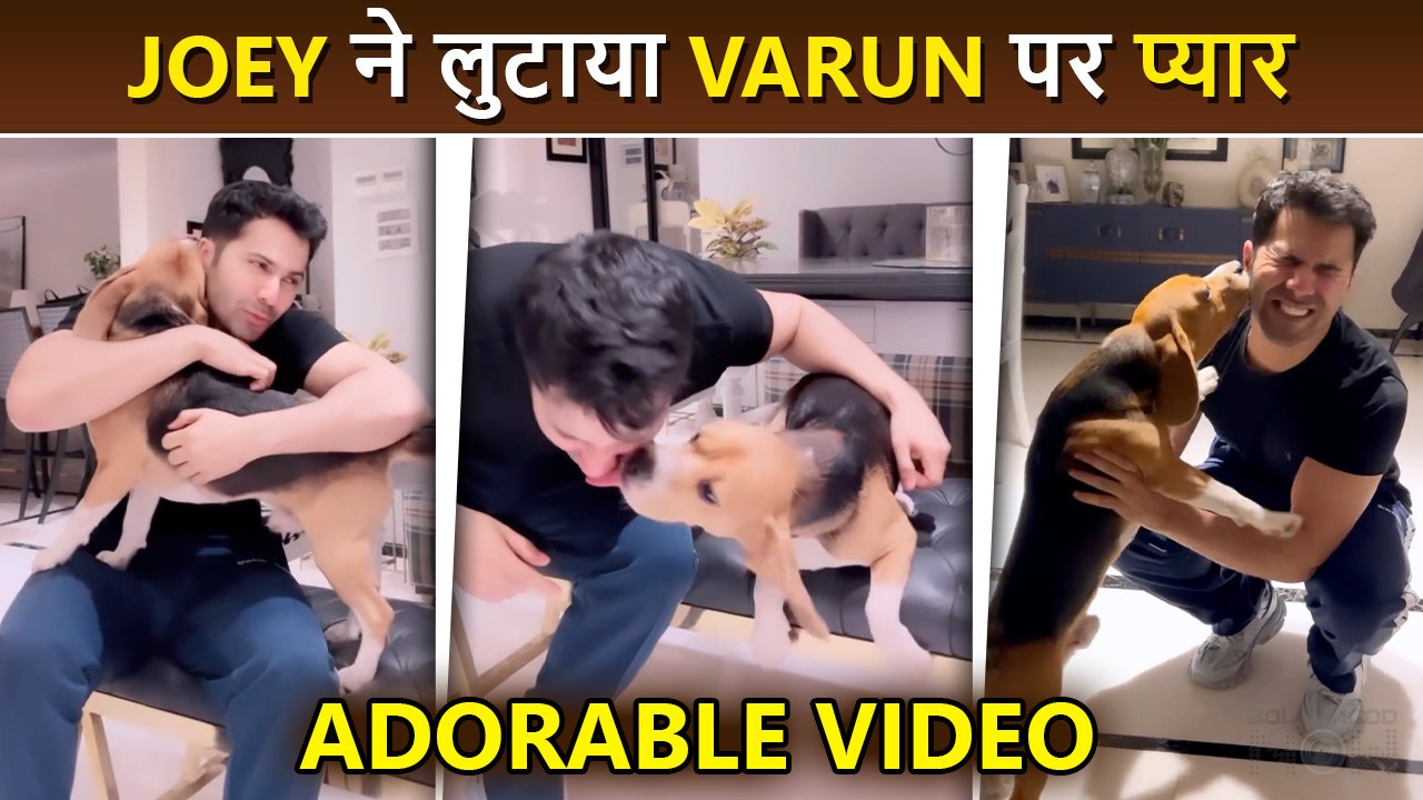 Varun Dhawan Shares Most ADORABLE Video With His Dog Joey - video ...